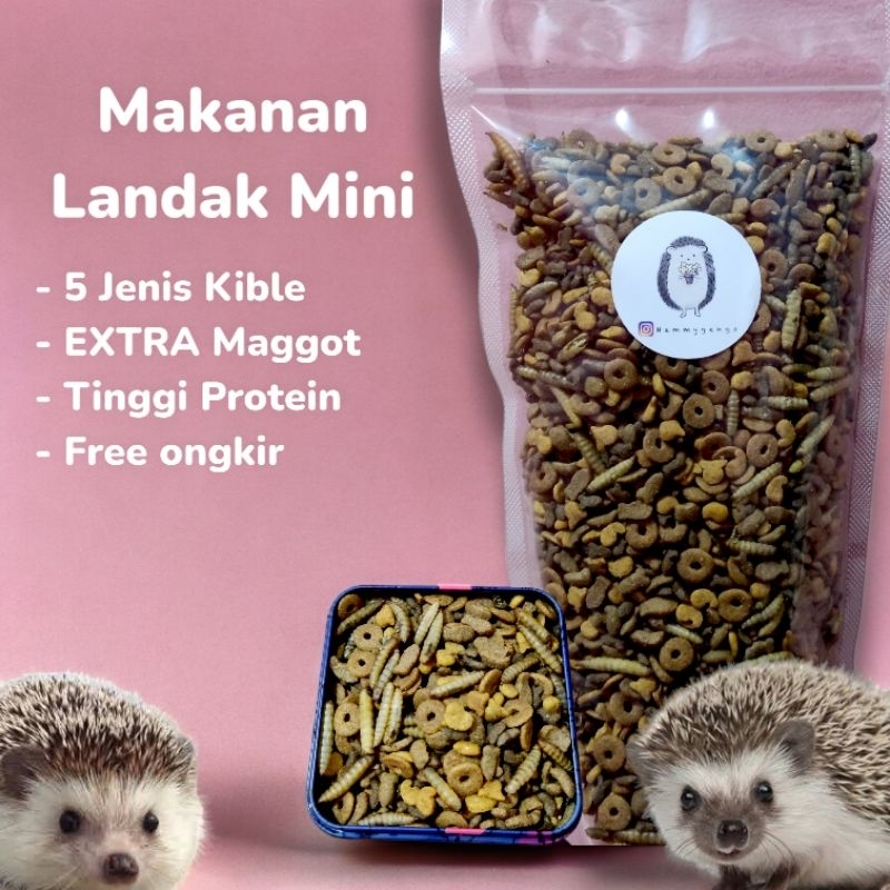Jual Makanan landak mini komplit | Shopee Indonesia