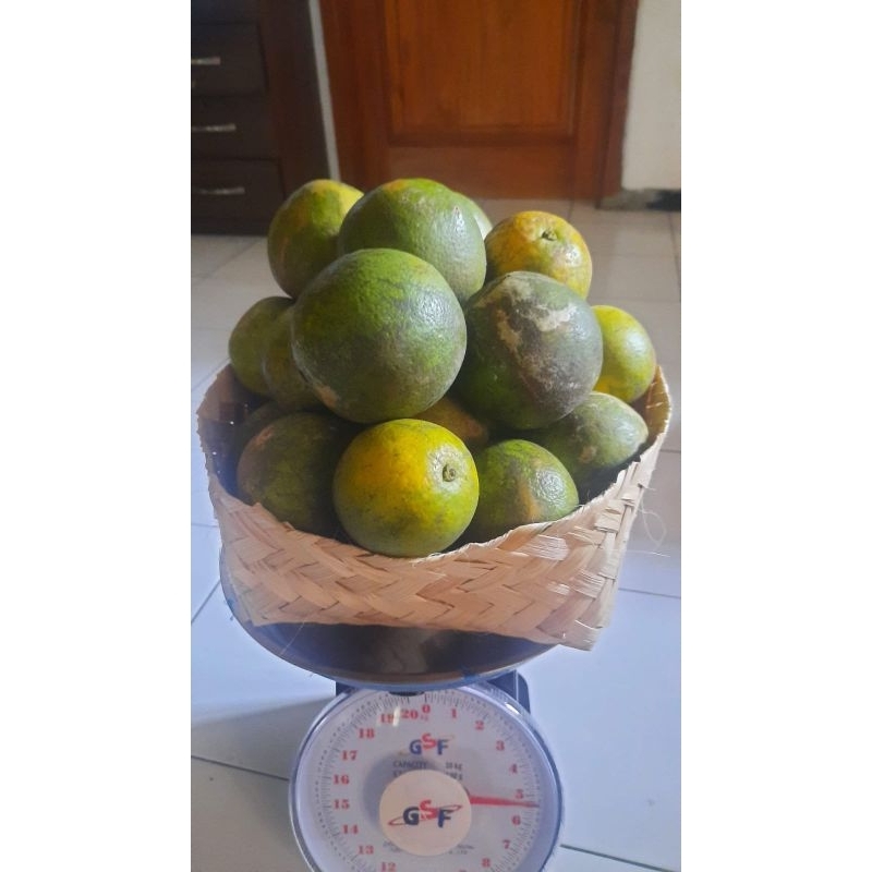 Jual JERUK MANIS/JERUK PERAS/JERUK BABY JAVA 1 KG | Shopee Indonesia