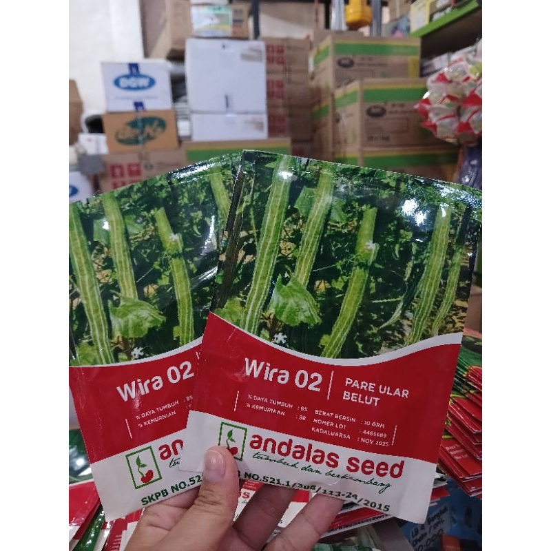 Jual BENIH PARE WELUT / PARE WIRA 10GR | Shopee Indonesia