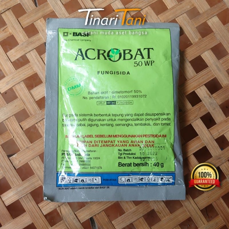 Jual ACROBAT 50WP Fungisida Jamur 40 Gram 100% Original - Tinari | Shopee Indonesia
