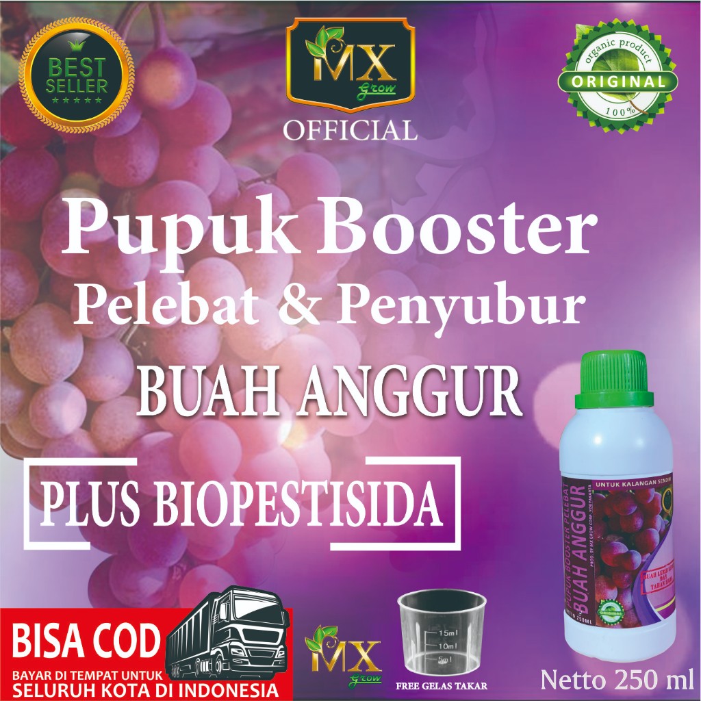 Jual Pupuk Organik Cair Penyubur Pelebat Anggur 250 ml / Booster Buah Anggur | Shopee Indonesia