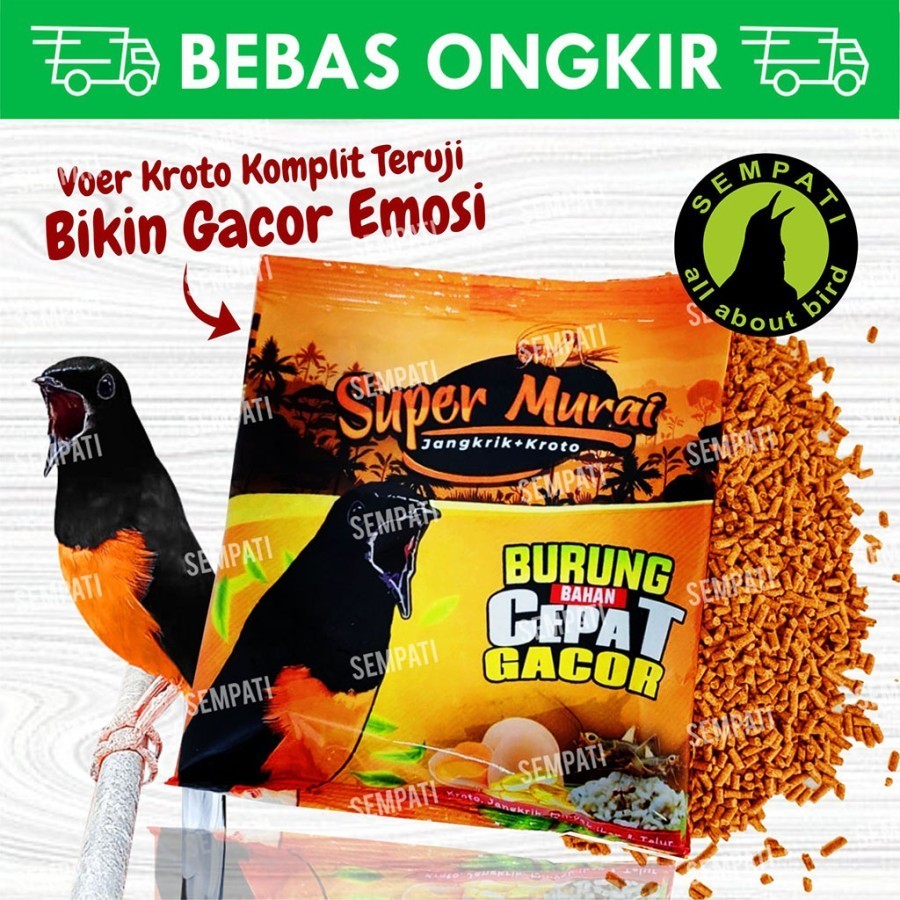Jual Voer Super Murai Sempati Jangkrik Kroto Sari Pakan Burung Murai ...