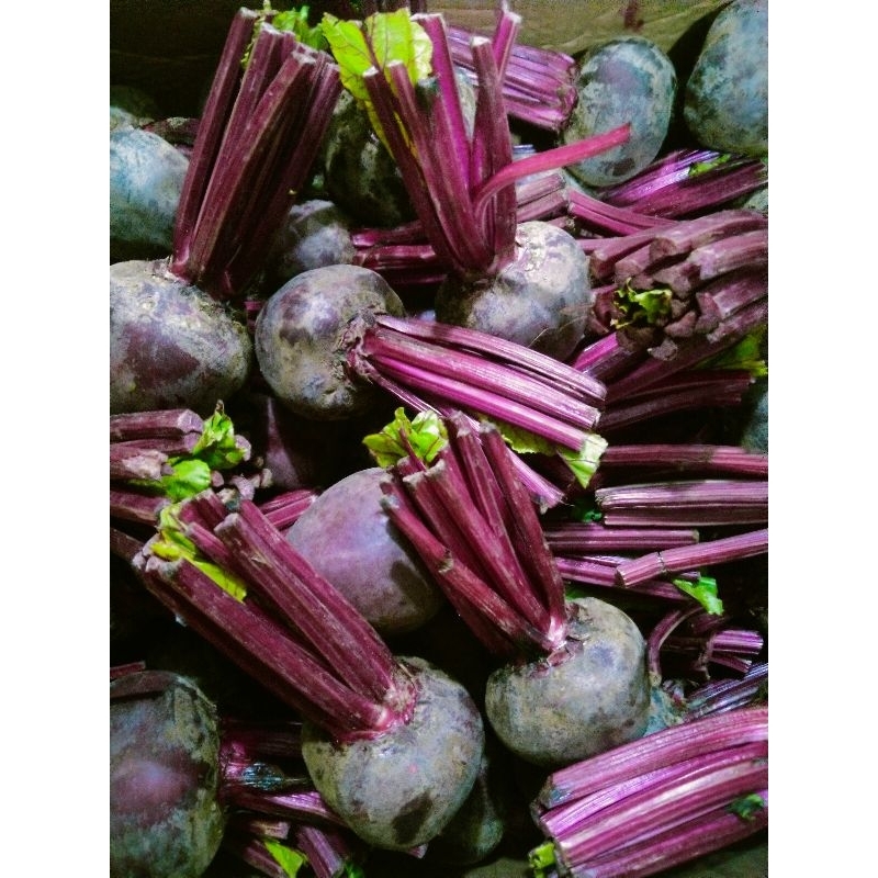 Jual BUAH BIT FRESH /BEET ROOT 1KG | Shopee Indonesia