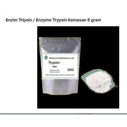 Jual Enzim Tripsin / Enzyme Trypsin Kemasan 10 gram | Shopee Indonesia