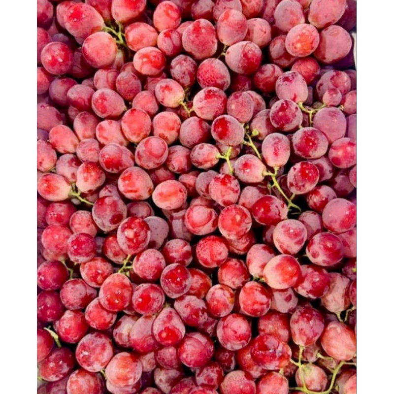 Jual Anggur red globe 1KG anggur red China buah anggur buah fresh ...