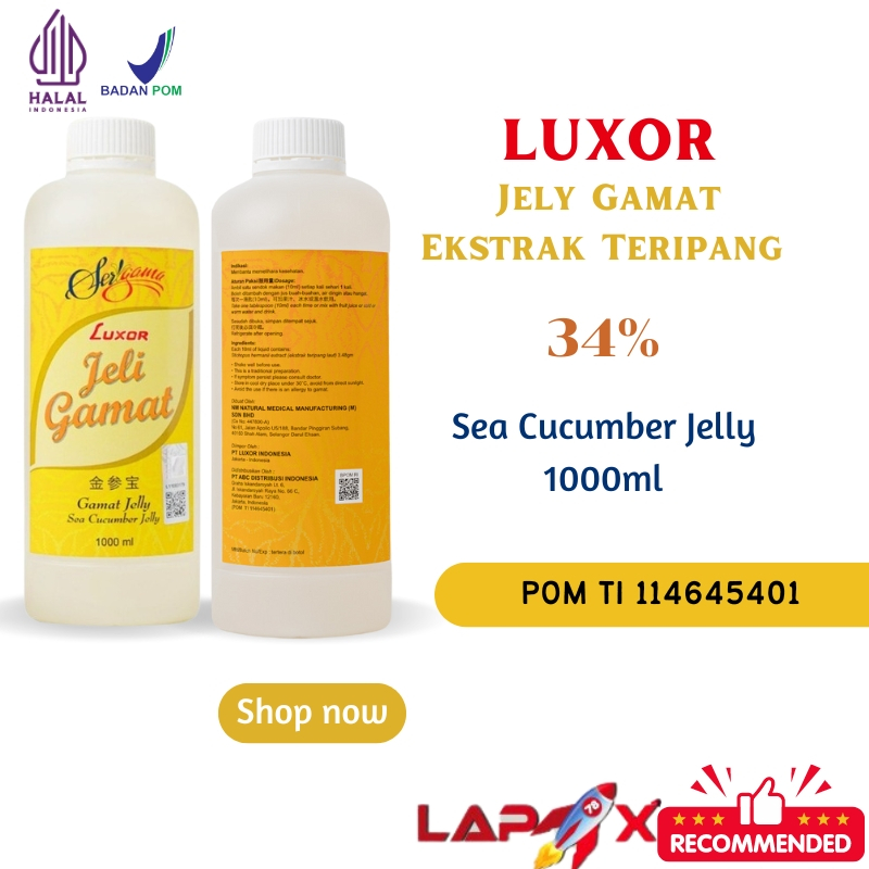 Jual Jelly Gamat Luxor 1000ml Original I Luxor Jeli Gamat Sea Cucumber ...
