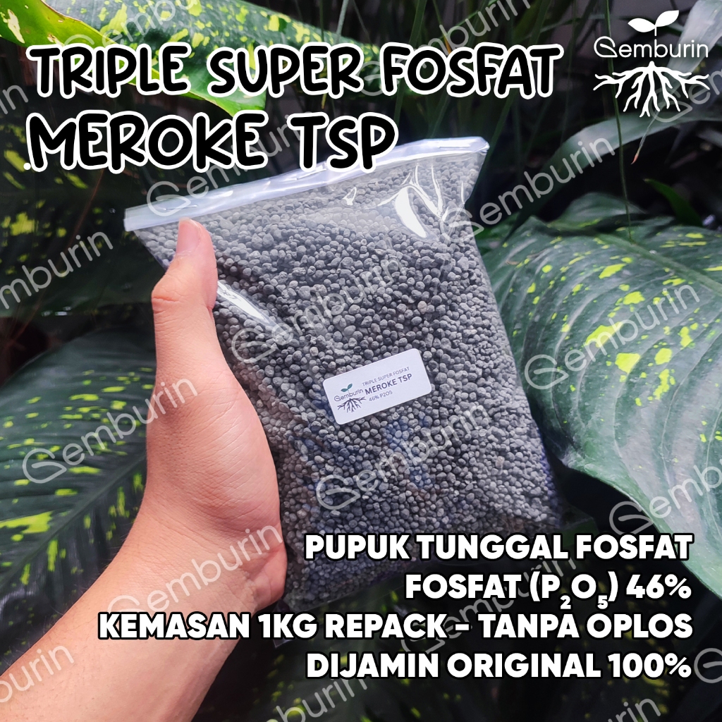 Jual Pupuk Meroke TSP 1 kg Kemasan REPACK / Pupuk Triple Super Fosfat ...