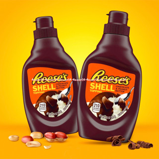Jual Reese's 205gr Shell Topping Chocolate & Peanut Butter Ice Cream ...
