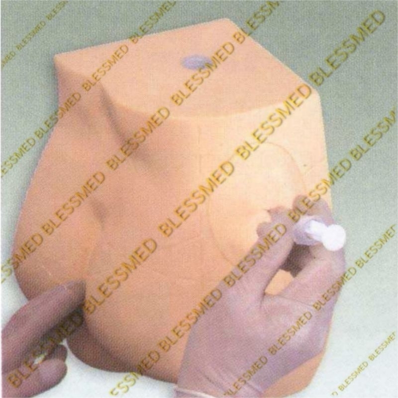 Jual Alat Peraga Gluteus Intramusculer Injection Model/Buttocks ...