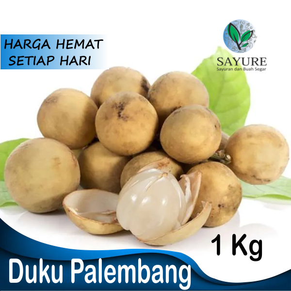 Jual BUAH DUKU PALEMBANG 1 KG | Shopee Indonesia