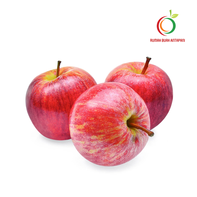 Jual Apel Royal Gala 1 kg Fresh & Renyah | Shopee Indonesia