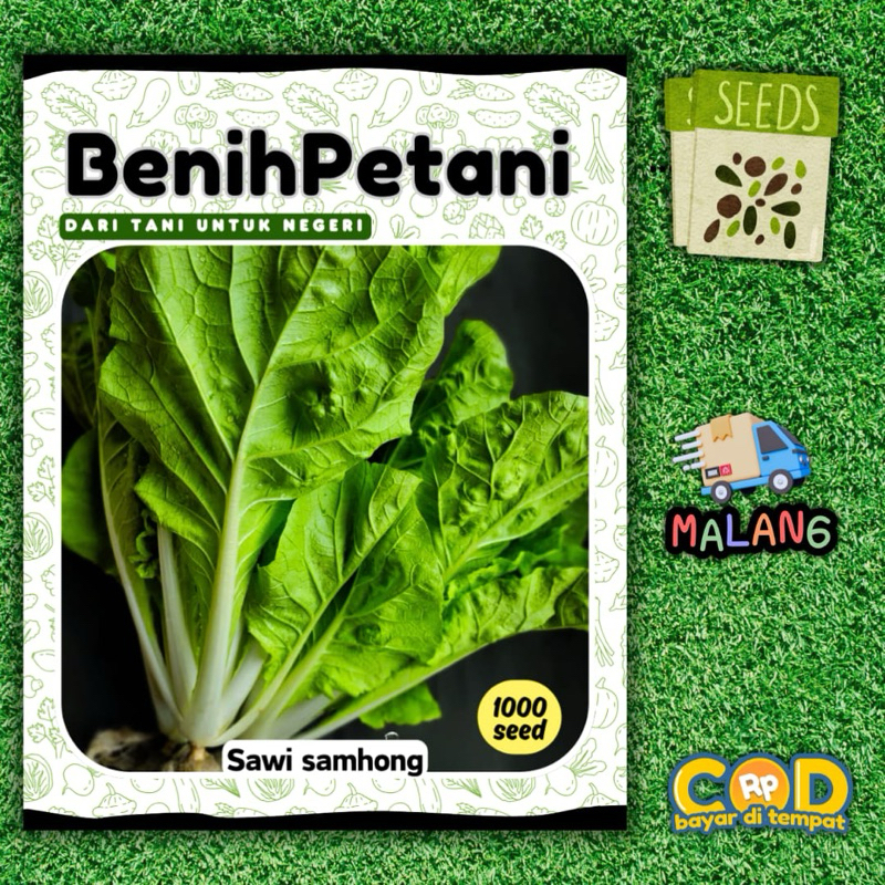 Jual ±1000 Benih bibit Sawi Samhong king sawi keriting super jumbo ...