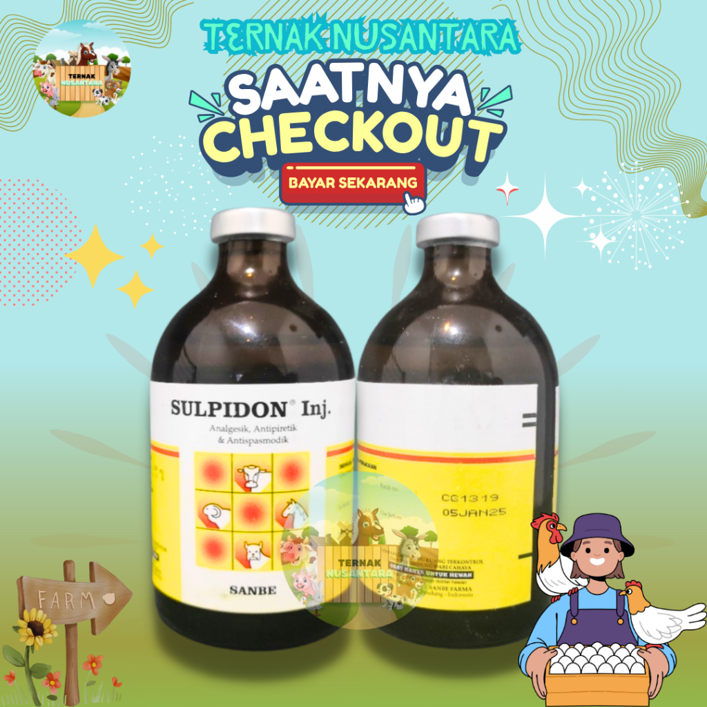 Jual Sulpidon INJECT 100 ML SANBE obat Analgesik, Antipiretik dan ...