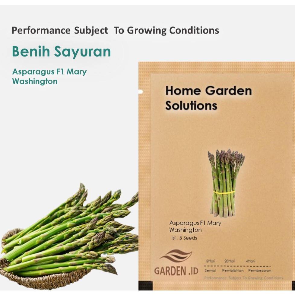 Jual Benih Bibit Asparagus F1 Mary Washington Sayuran Herb Hibrida ...
