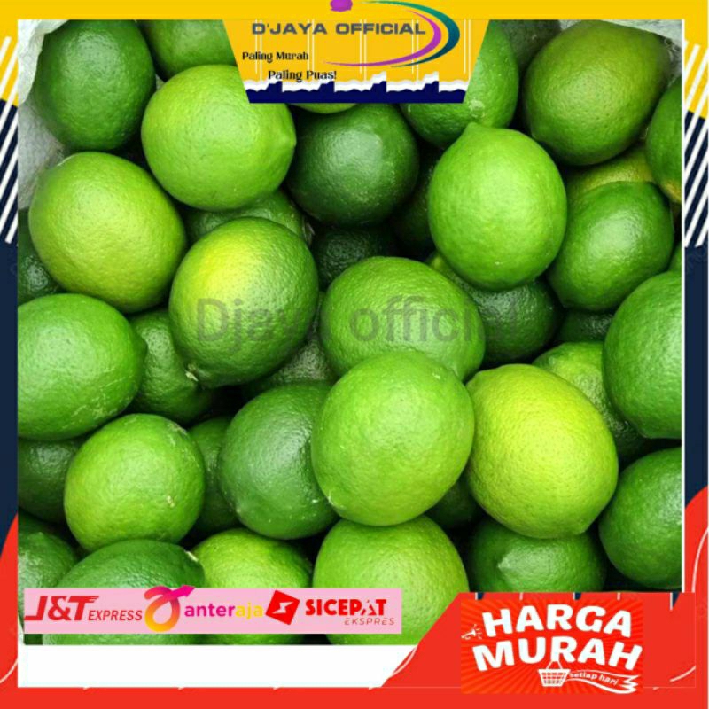 Jual Jeruk Lemon lokal 1 kg Segar | Shopee Indonesia