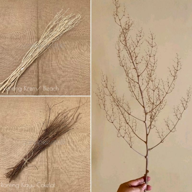 Jual Ranting Dekorasi Aesthetic Alami | Shopee Indonesia