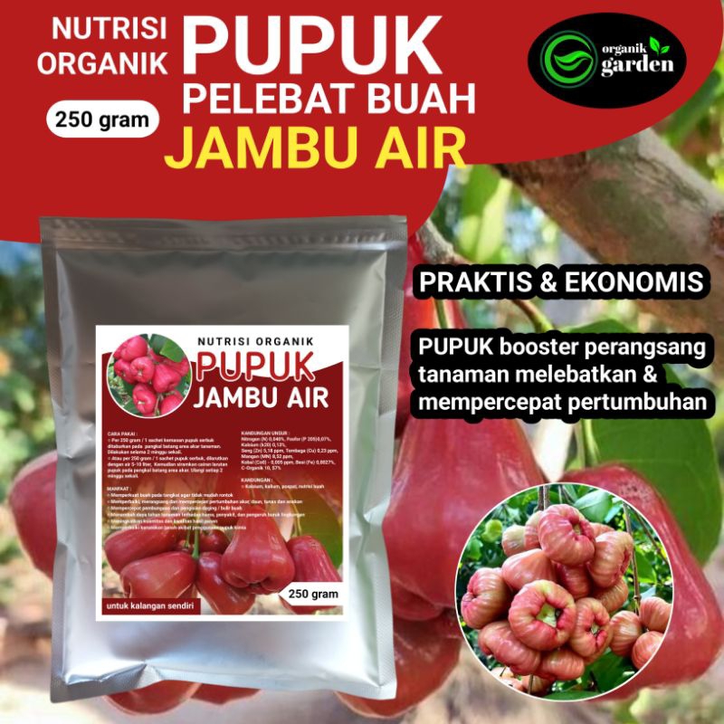 Jual pupuk pelebat buah JAMBU AIR | booster melebatkan secara maksimal 250gram | Shopee Indonesia