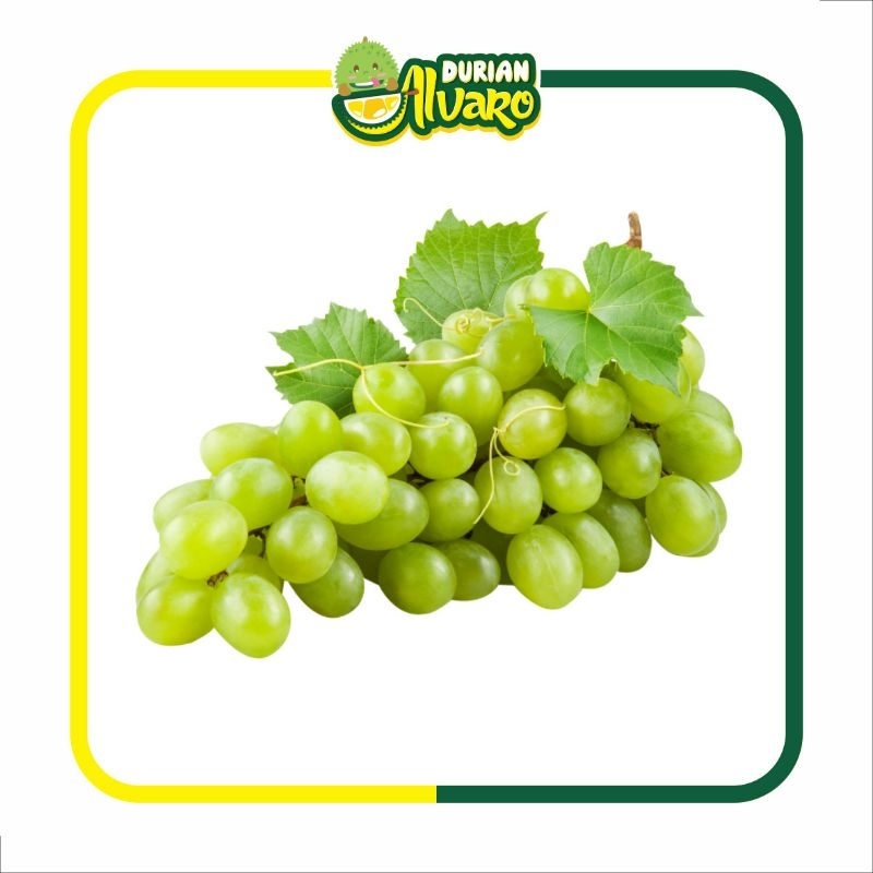 Jual Anggur Shine Muscat | Shopee Indonesia