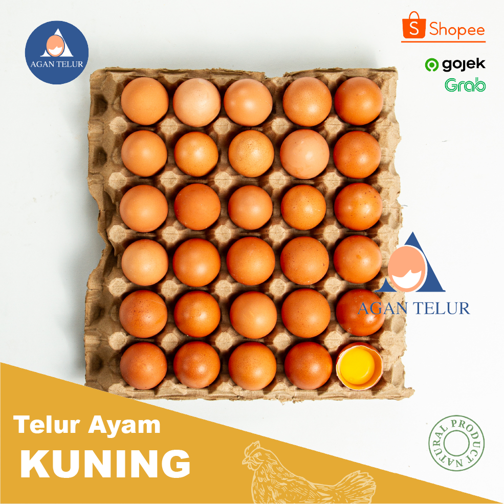 Jual Telur Ayam Negeri PREMIUM 1 Kg - 30 pcs GRADE A Fresh Bersih ...
