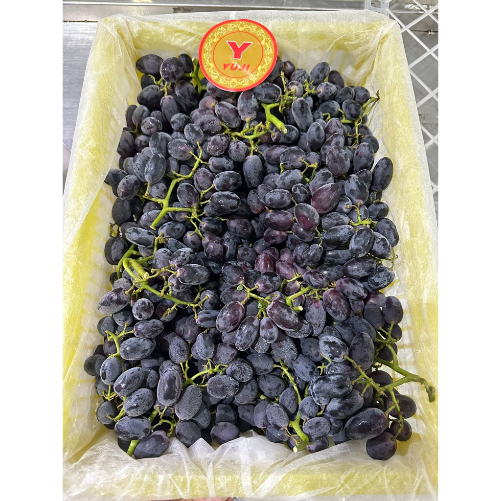 Jual Anggur AUTUMN ROYAL Sweet Black Grapes IMPORT 1 kg | Shopee Indonesia