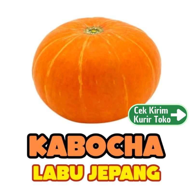 Jual KABOCHA LABU JEPANG - Sayur Sayuran cocok untuk MPASI Bayi ...