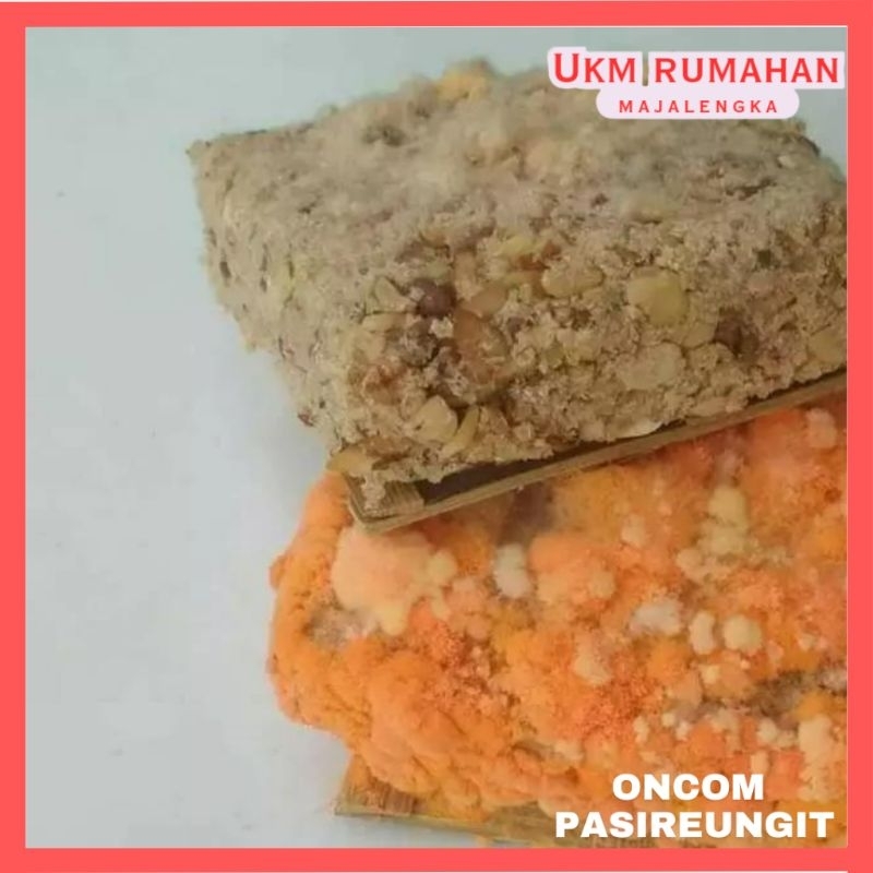 Jual Oncom Majalengka Pasirreungit Sumedang Kering Siap Saji | Shopee ...