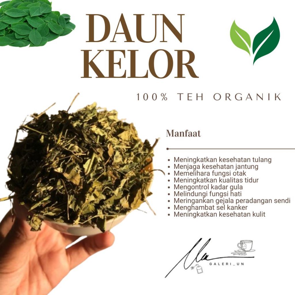 Jual Daun Kelor kering (TEH DAUN KELOR) | Shopee Indonesia