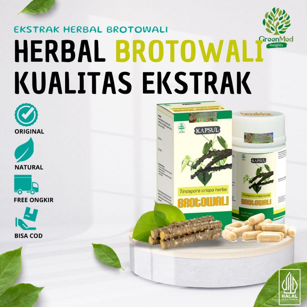 Jual EKSTRAK KAPSUL BROTOWALI DIABETES TAZAKKA JAMU OBAT HERBAL GATAL ...