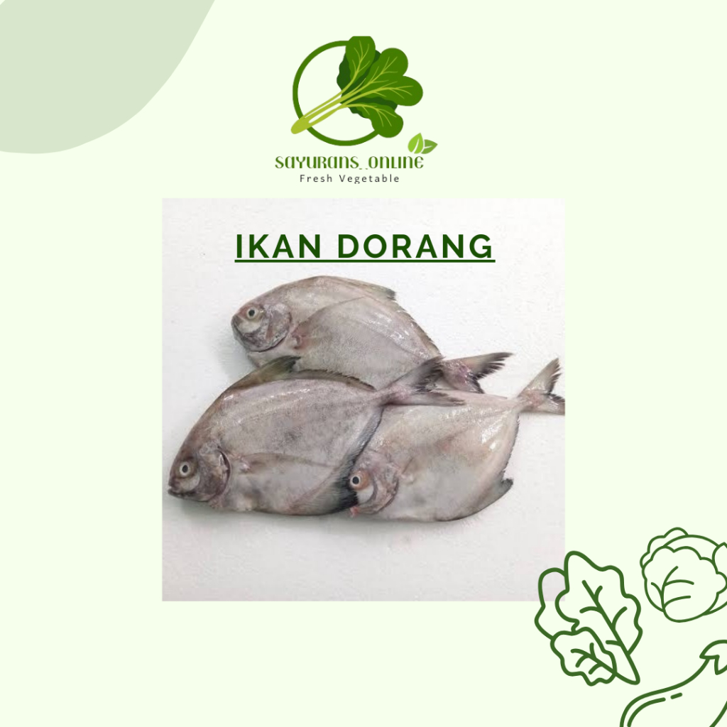 Jual ikan dorang fresh 1kg | Shopee Indonesia