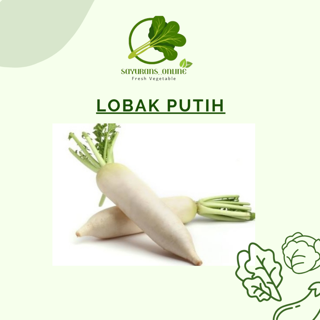 Jual lobak putih 500gr | Shopee Indonesia