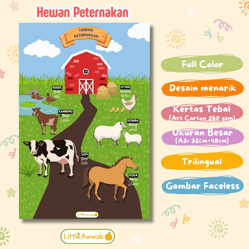 Jual Poster Edukasi Anak Balita Hewan Peternakan Domba Sapi Bebek Ayam ...