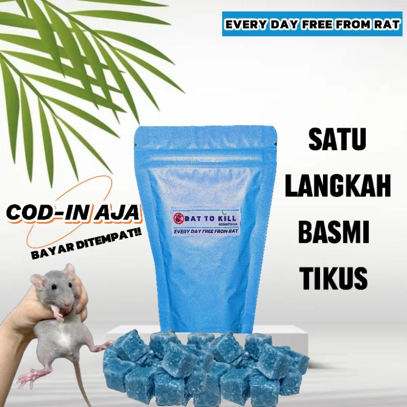 Jual Racun Tikus Super Ampuh Pembasmi Tikus Mati Kering - Rat To Kill ...