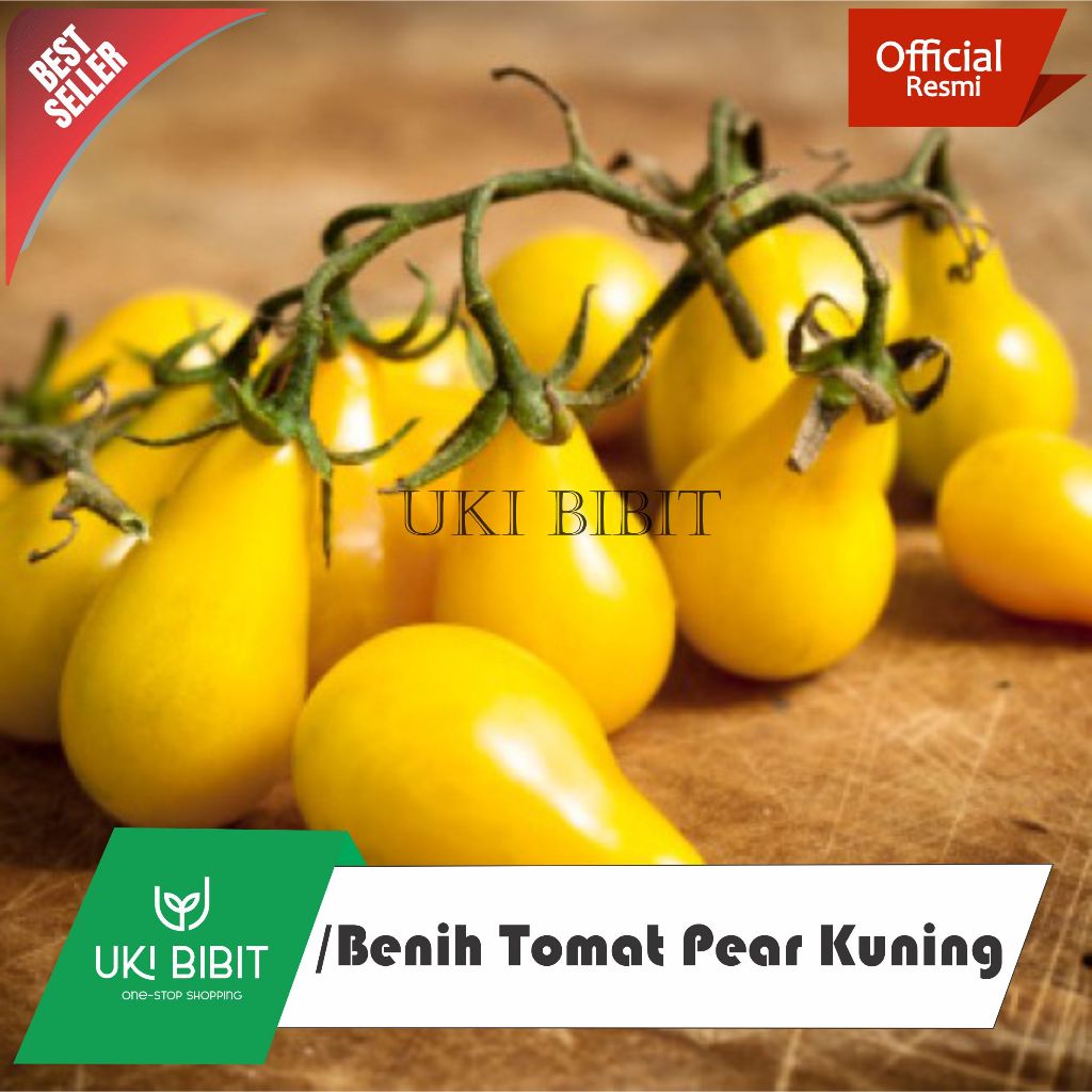 Jual ( 10 Butir ) Benih Tomat Pear Kuning | Shopee Indonesia