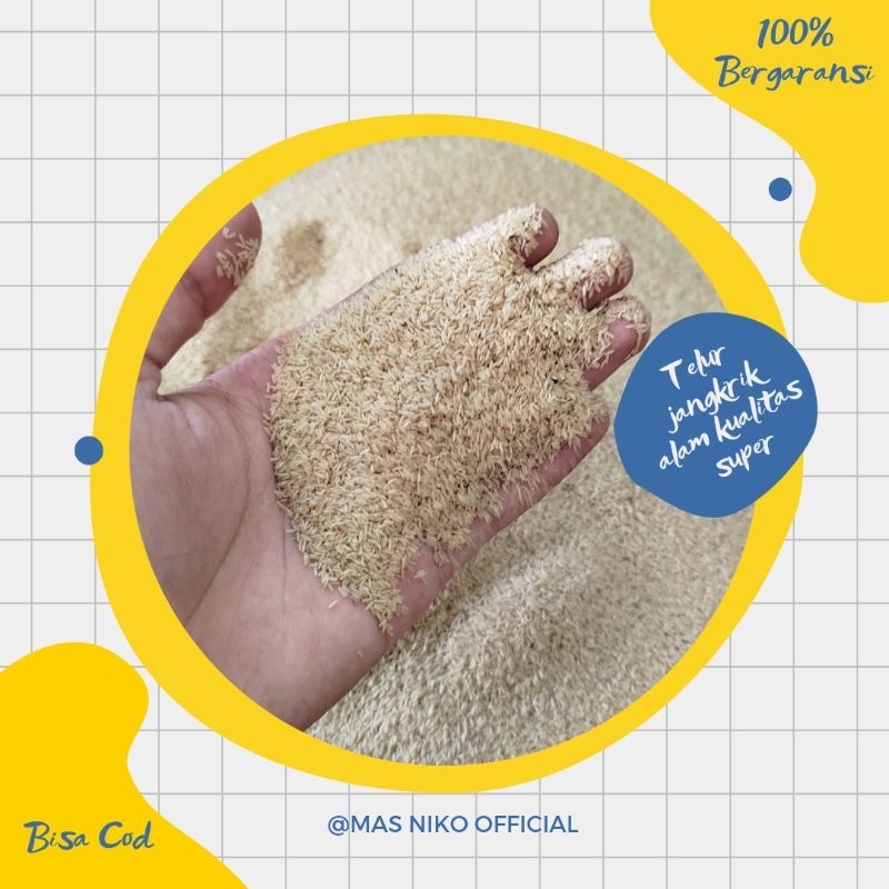 Jual Telur Jangkrik Alam/Sliring Kualitas Unggul Dan Bergaransi 1 kg ...
