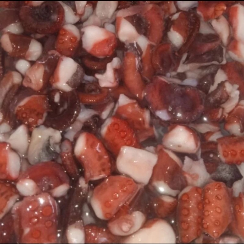 Jual Cooked Octopus Boiled Tako Gurita Cut 500gr | Shopee Indonesia