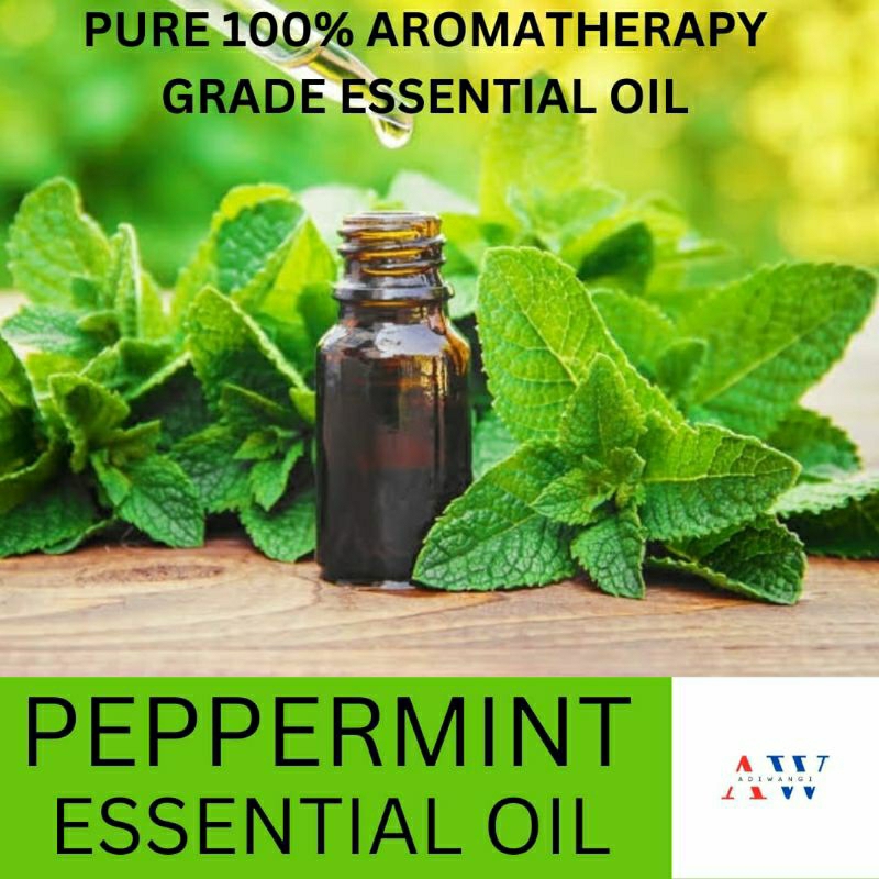 Jual Peppermint Essential Oil Pure 100% Aromatherapy Minyak Atsiri Murni | Shopee Indonesia