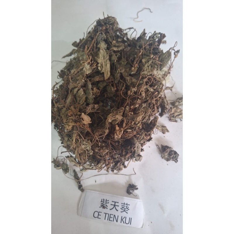 Jual 300 G GR GRAM 紫背天葵 ZI BEI TIAN KUI SKYMALLOW SEMIAQUILEGIA ...