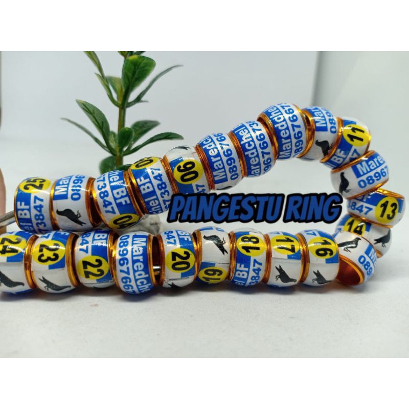 Jual RING MERPATI DEWASA UKURAN 9 MM MODEL DONAT D'PRINTZ WARNA BIRU ...