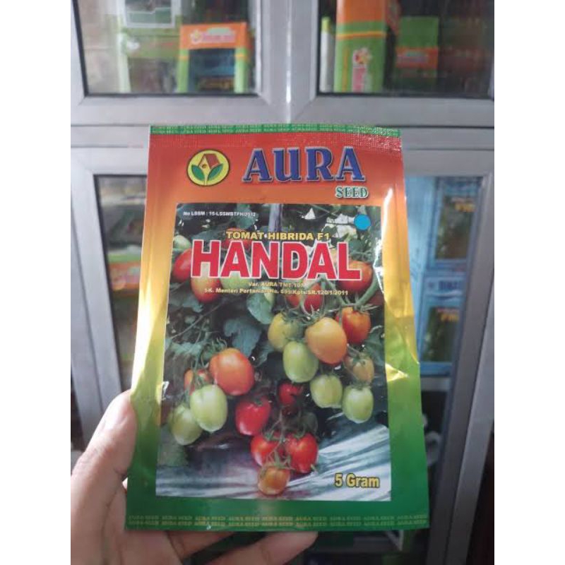 Jual Benih Bibit Tomat Handal F1 (Perawatan Mudah, Daging Tebal, Tahan ...