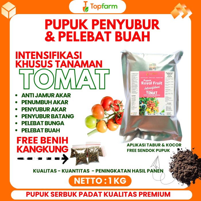 Jual Pupuk Tomat Pelebat Buah Terbaik / Pupuk Buah Super Lebat Tomat / Pupuk Tomat Agar Berbuah ...