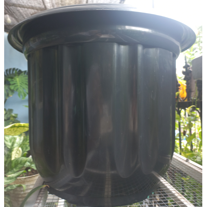 Jual POT HITAM 55 CARGO KUAT TEBAL/ POT BESAR JUMBO/ POT BUNGA/ POT ...