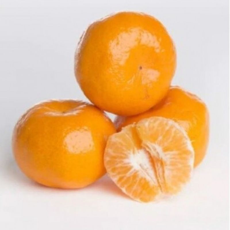 Jual Jeruk mandarin wogan, jeruk Mandarin, jeruk wogan | Shopee Indonesia