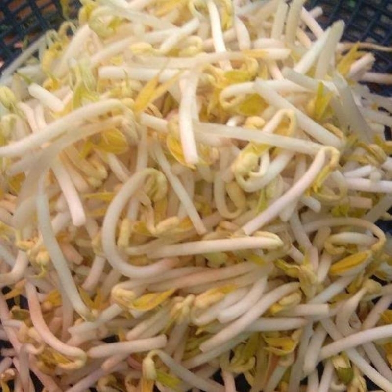 Jual Tauge Petik Bersih 250 gr | Shopee Indonesia