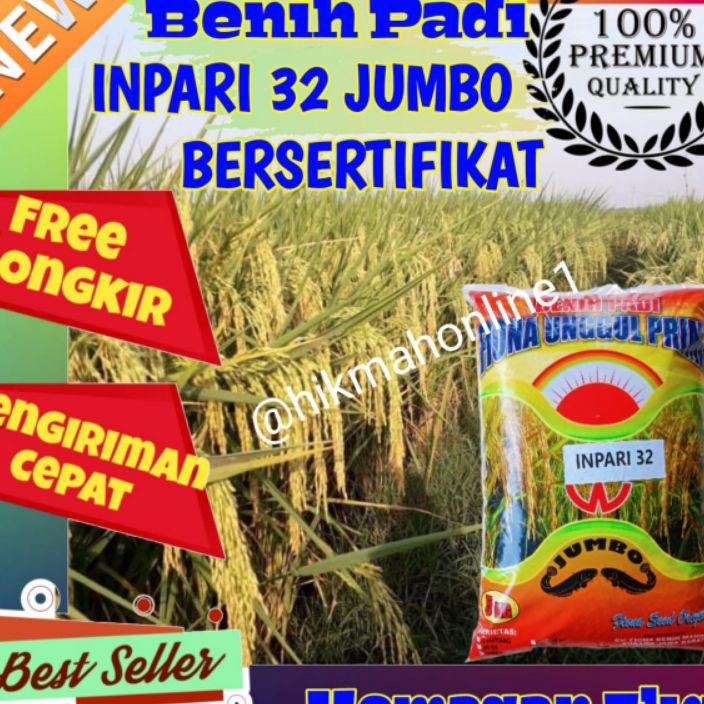 Jual KI3 Benih padi Inpari 32 Jumbo Bersertifikat Label ungu kemasan 5kg | Shopee Indonesia