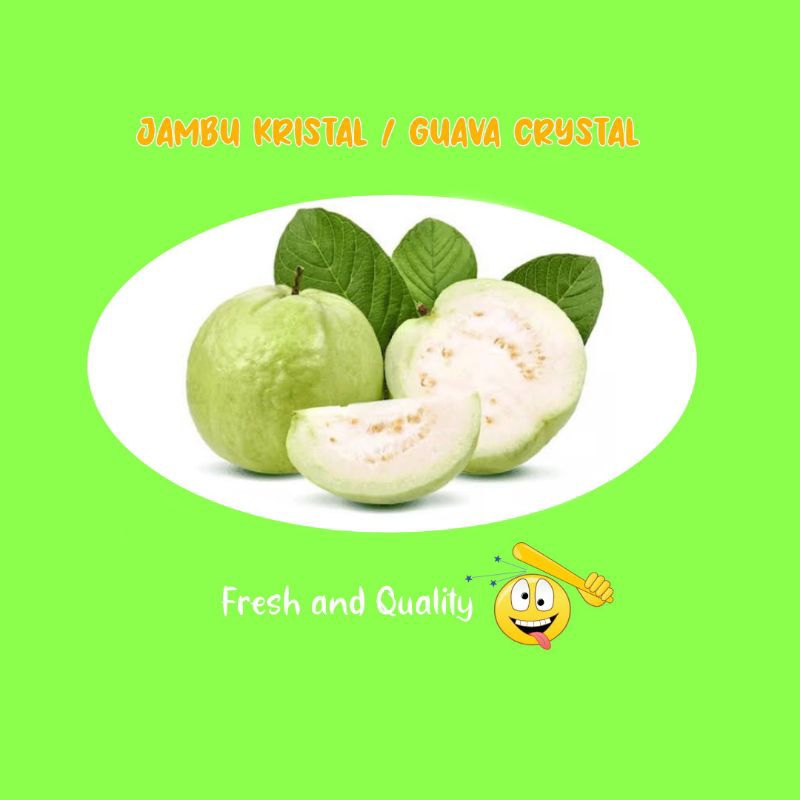 Jual BUAH JAMBU KRISTAL / GUAVA CRYSTAL | Shopee Indonesia
