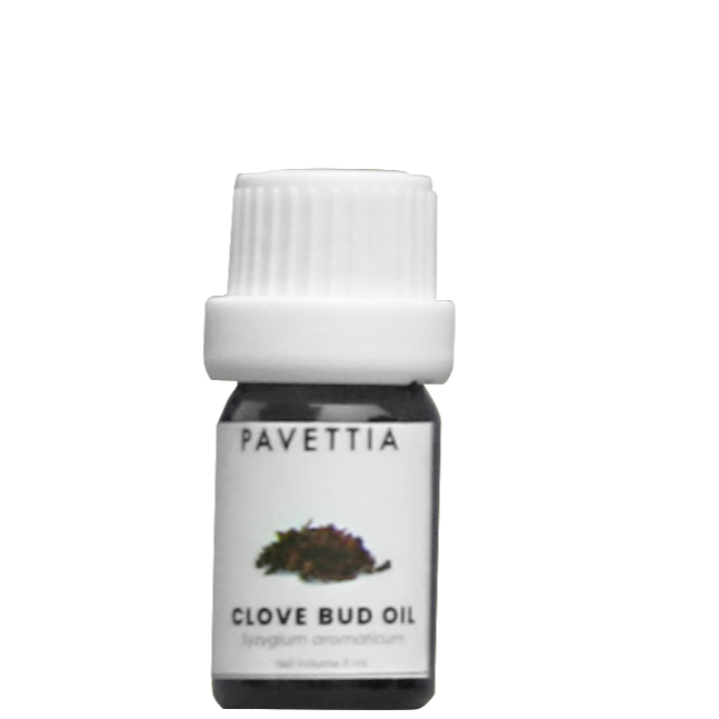 Jual 10 ml sampel - minyak kelopak/bunga cengkeh - clove bud oil ...