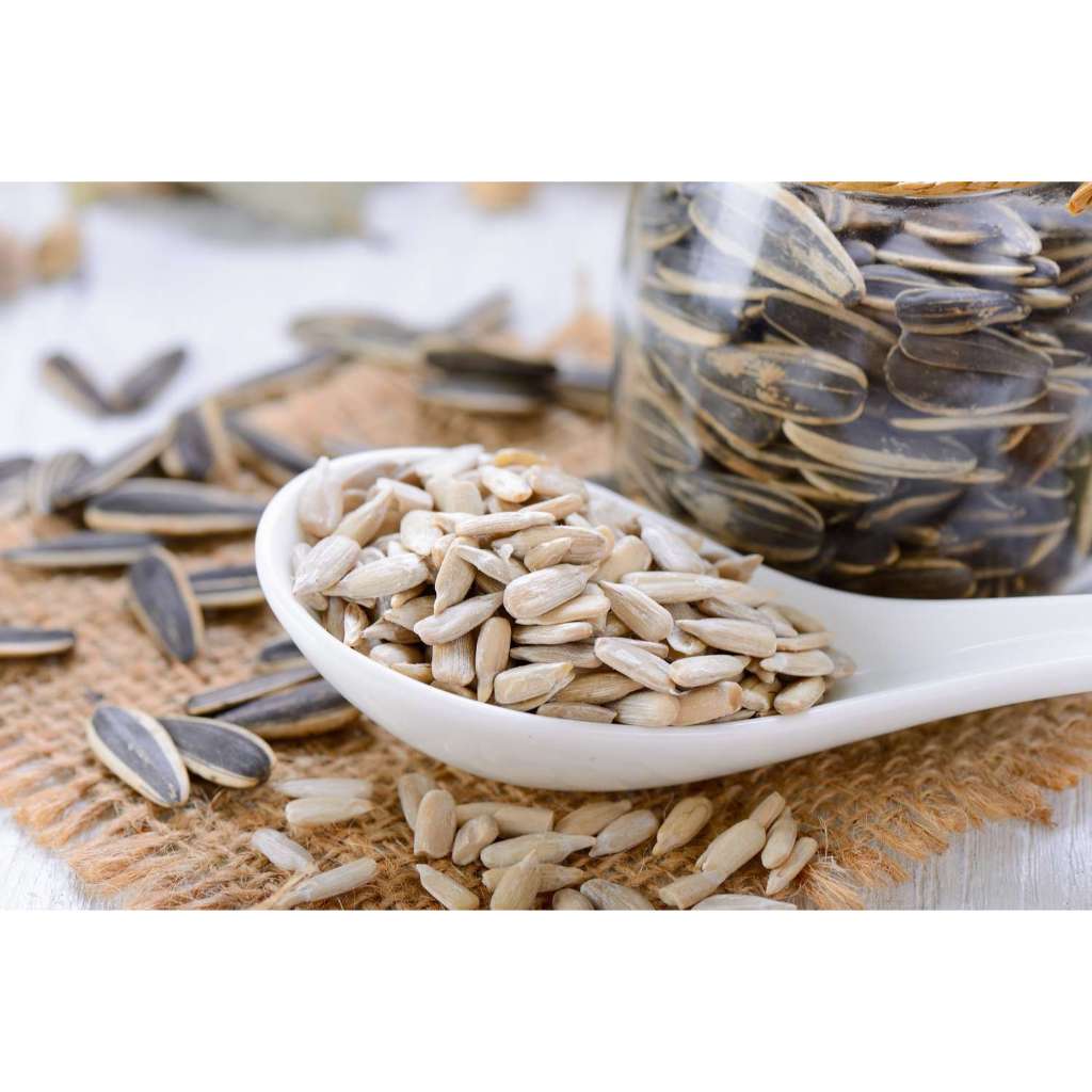 Jual Biji Bunga Matahari | Sunflower Seeds Premium [ Kupas ] | Shopee ...