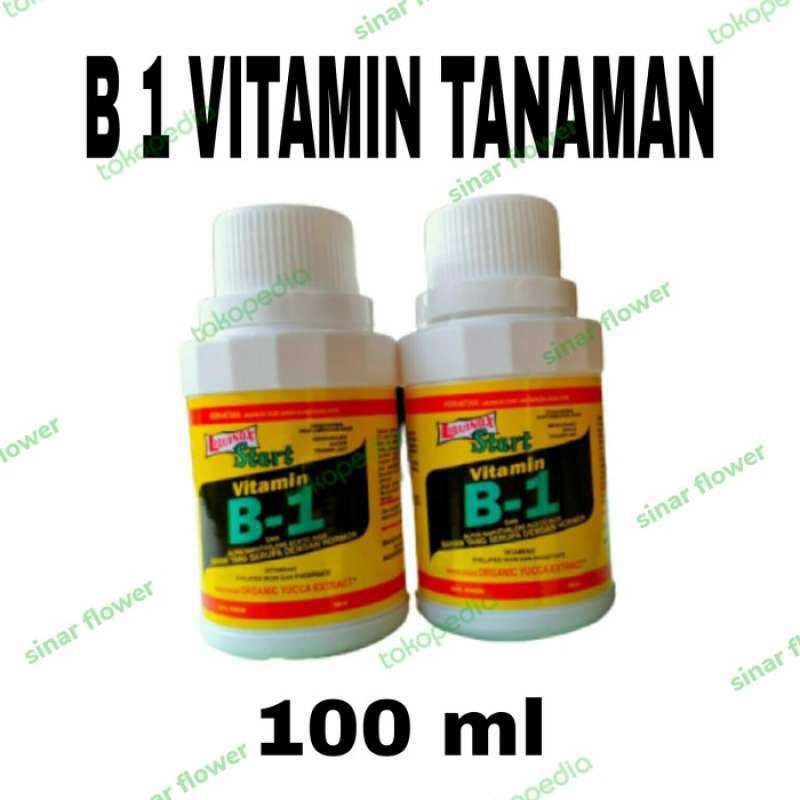Jual vitamin B1 Cocok Untuk tanaman Dan buah | Shopee Indonesia