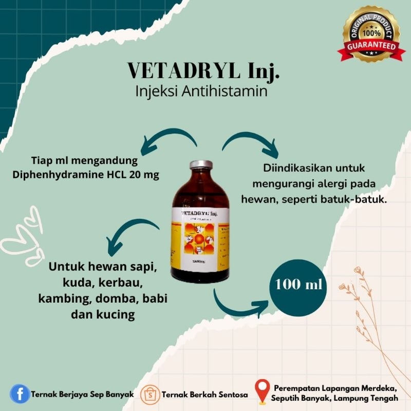 Jual VETADRYL Inj 100 ml - Obat batuk pada hewan (domba, kambing, babi ...