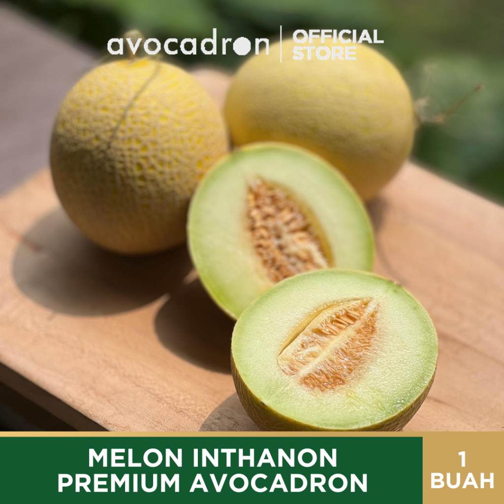 Jual Melon Inthanon Premium Avocadron | Shopee Indonesia